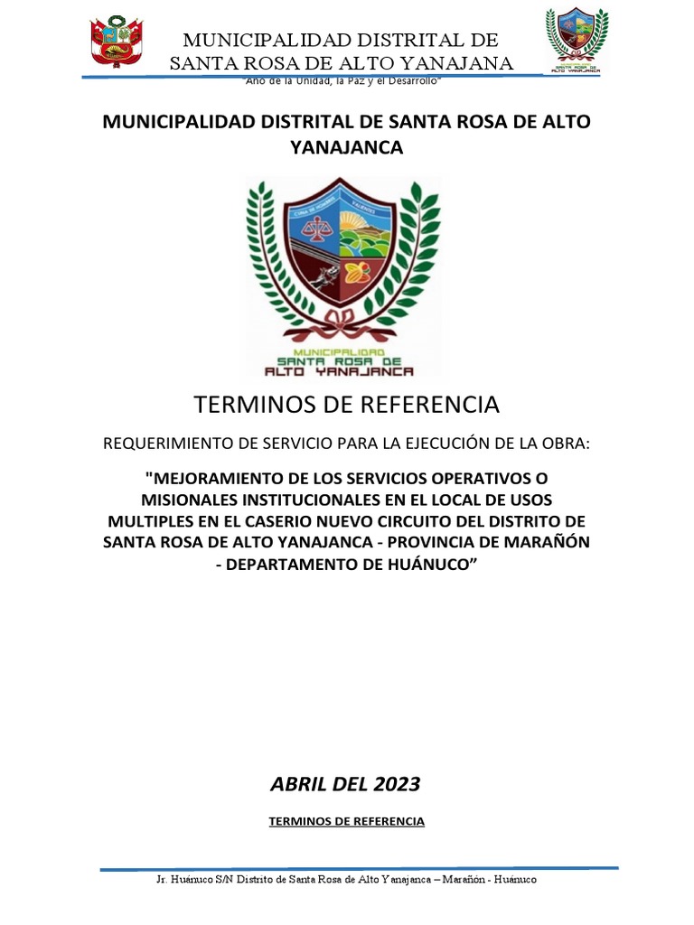 TDR Servicio Cerchas..docx | PDF | Justicia | Crimen y violencia