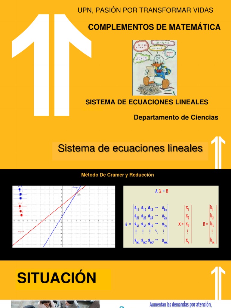 Módulo 7 PDF | PDF | Sistema de ecuaciones lineales | Determinante