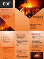 Typhoon Preparedness Brochure | PDF