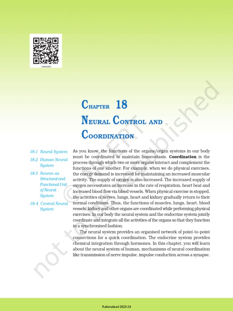 The Mechanisms of Neural Coordination: An Explanation of How the Neural System Controls and ...