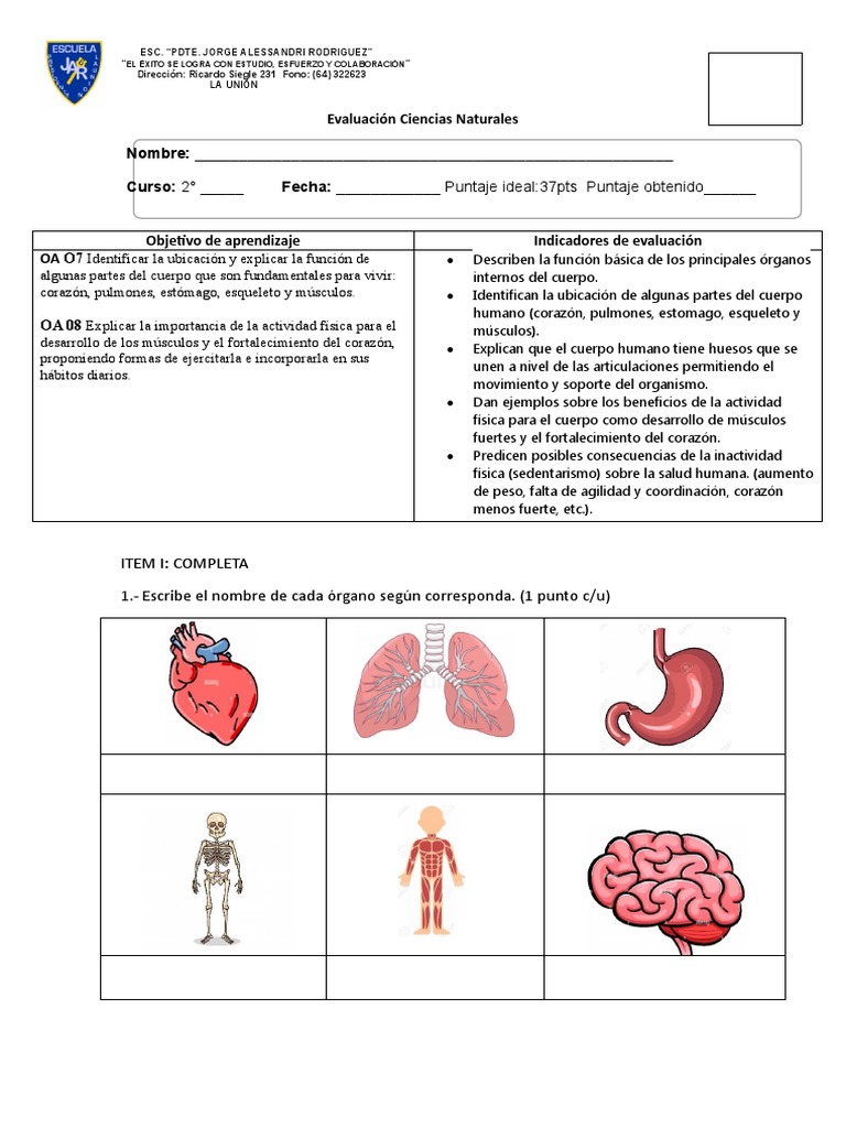 Evaluación Órganos Del Cuerpo Humano y Cuidado de Los Órganos | PDF