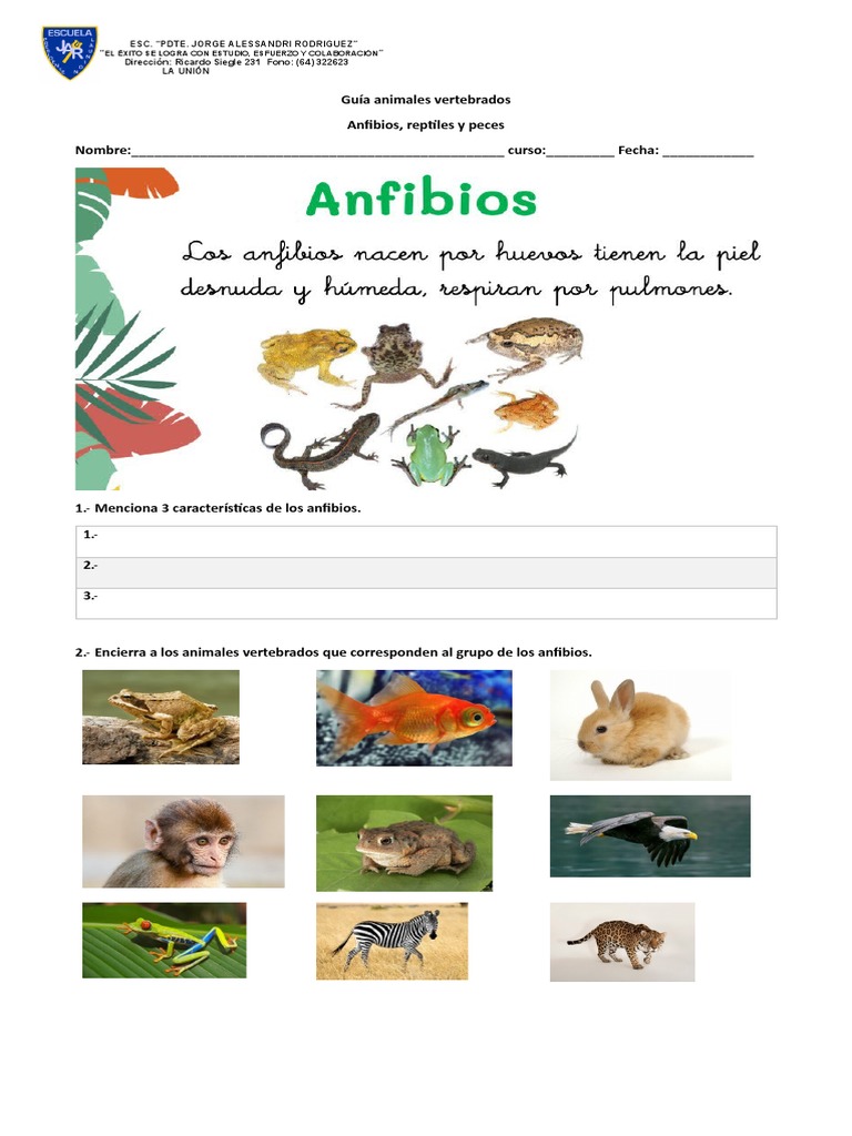 Anfibios, Reptiles y Peces | PDF
