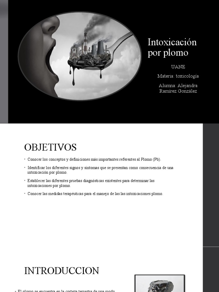 Intoxicación por Plomo: Causas y Efectos | PDF