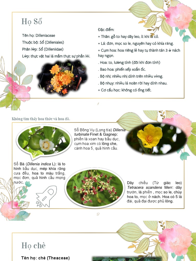 PL Ngoc Lan 3 PDF | PDF