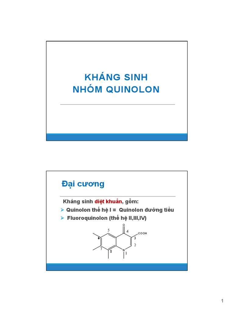 6 Quinolon PDF | PDF