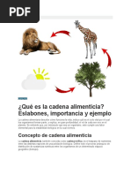 Cadenas y Redes Alimenticias para Quinto de Primaria | PDF | Red ...