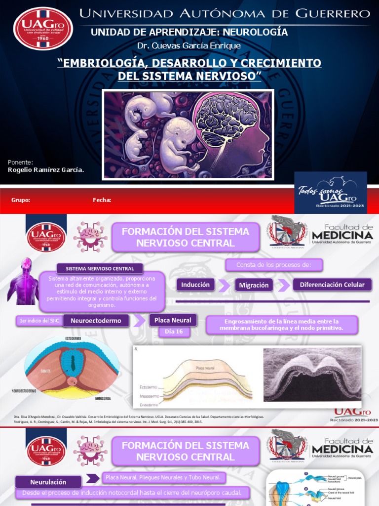 Embriología Del SNC | PDF