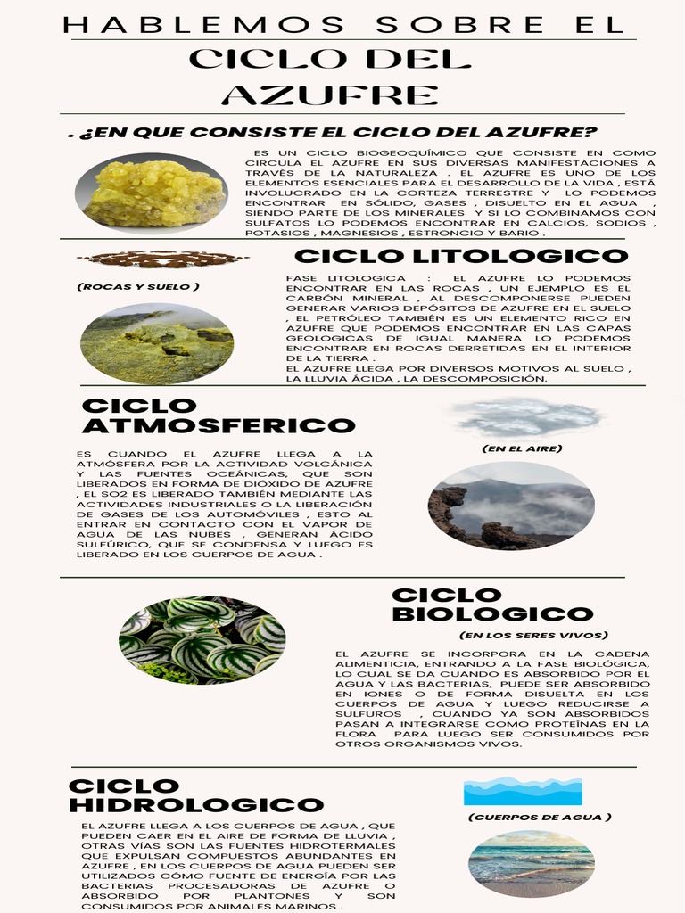 Ciclo Del Azufre PDF | PDF