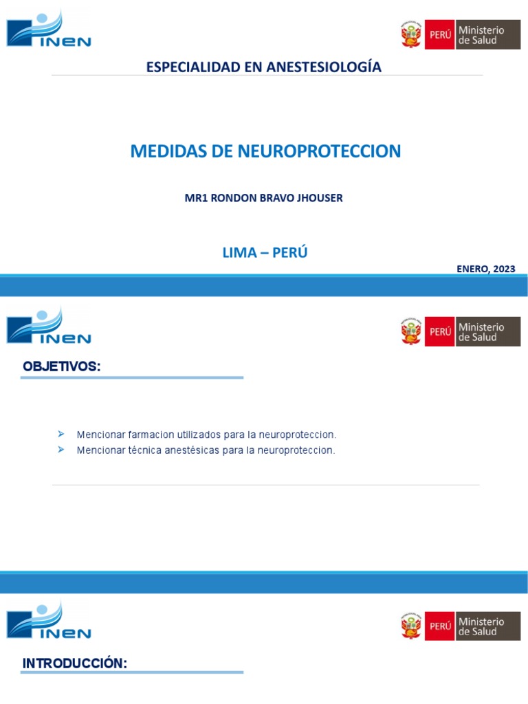 neuroproteccion 2023 jhou-1 | PDF