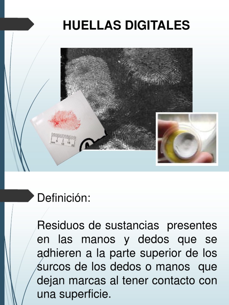 Clasificación de Las Huellas | PDF | Estudios de idiomas extranjeros