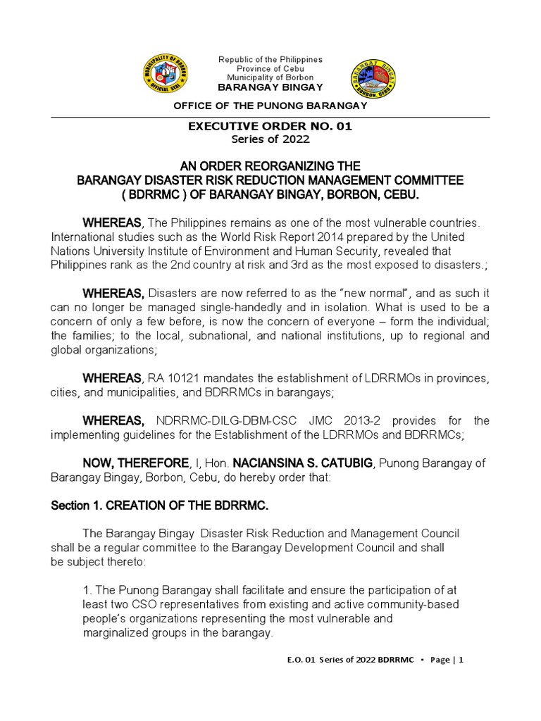 001 2022 BDRRMC | PDF