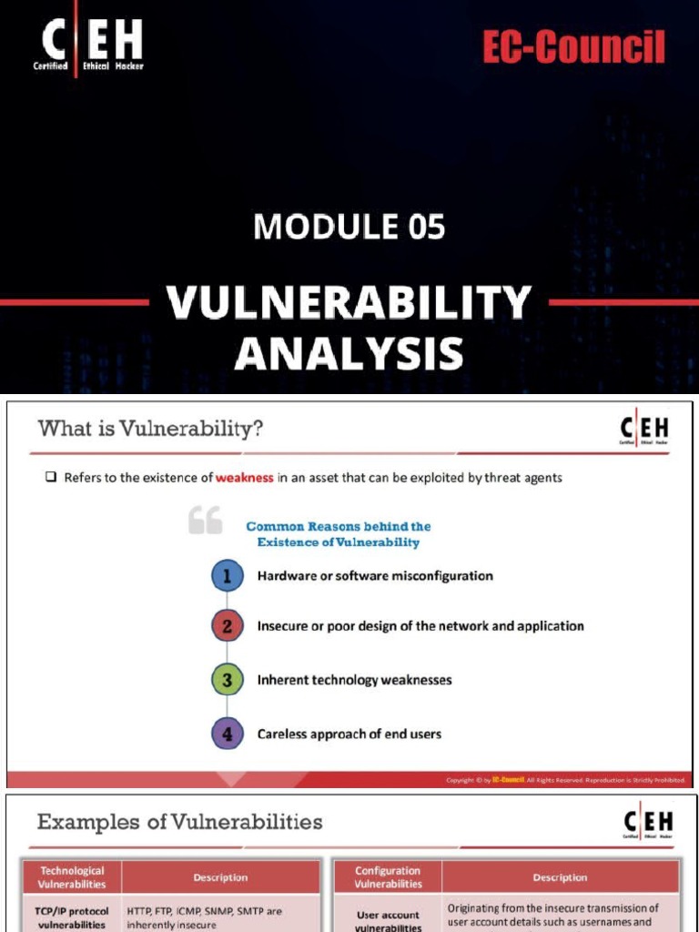 05 - Vulnerability Analysis | PDF