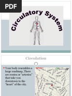 Circulatory System | PDF | Heart | Heart Valve