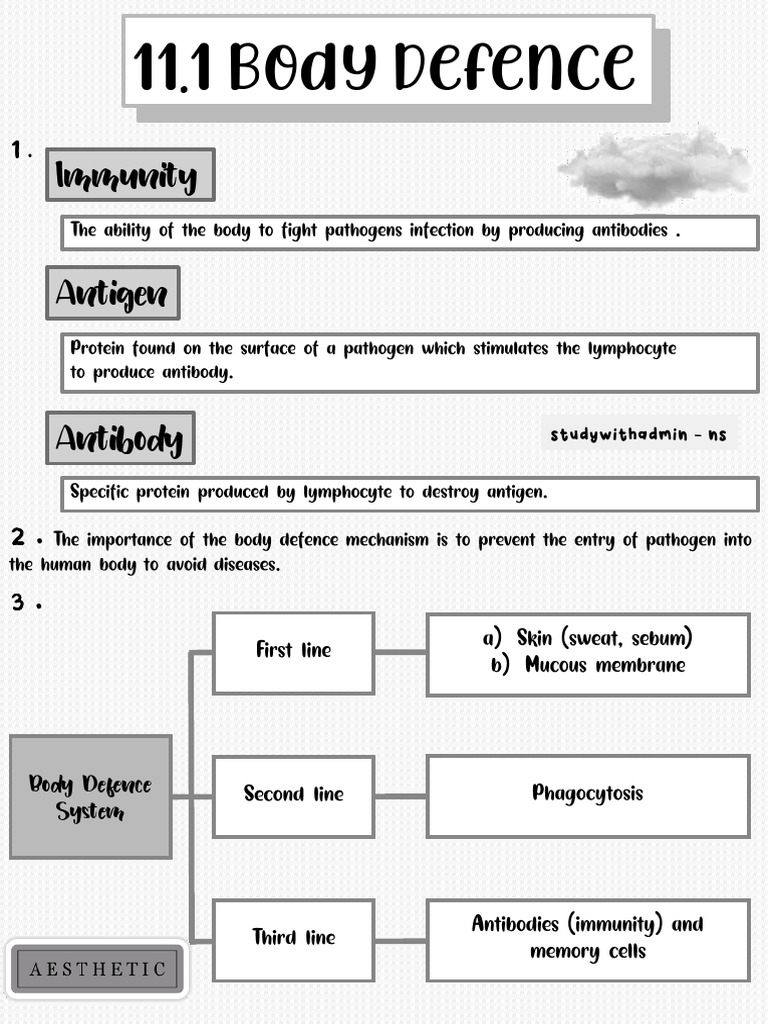 BIO CH11 F4 STUDYWITHADMIN.pdf | PDF