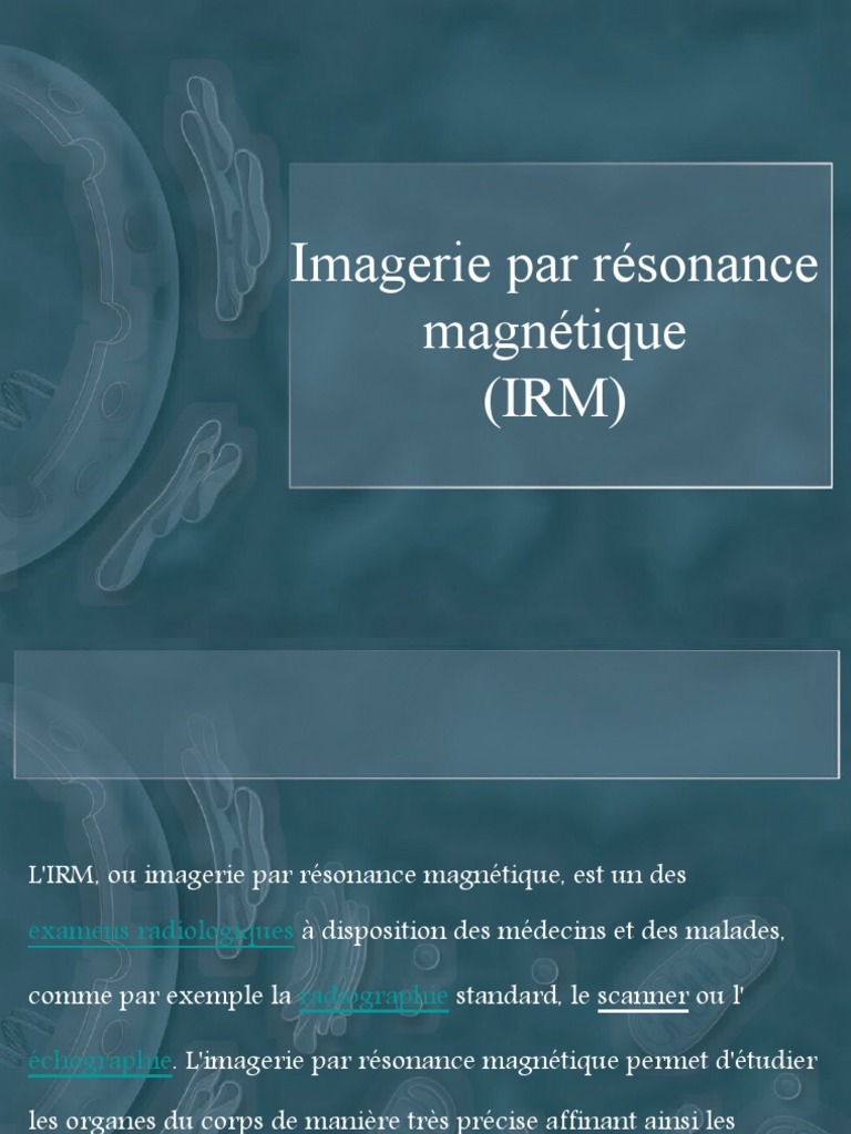 IRM.pptx | PDF