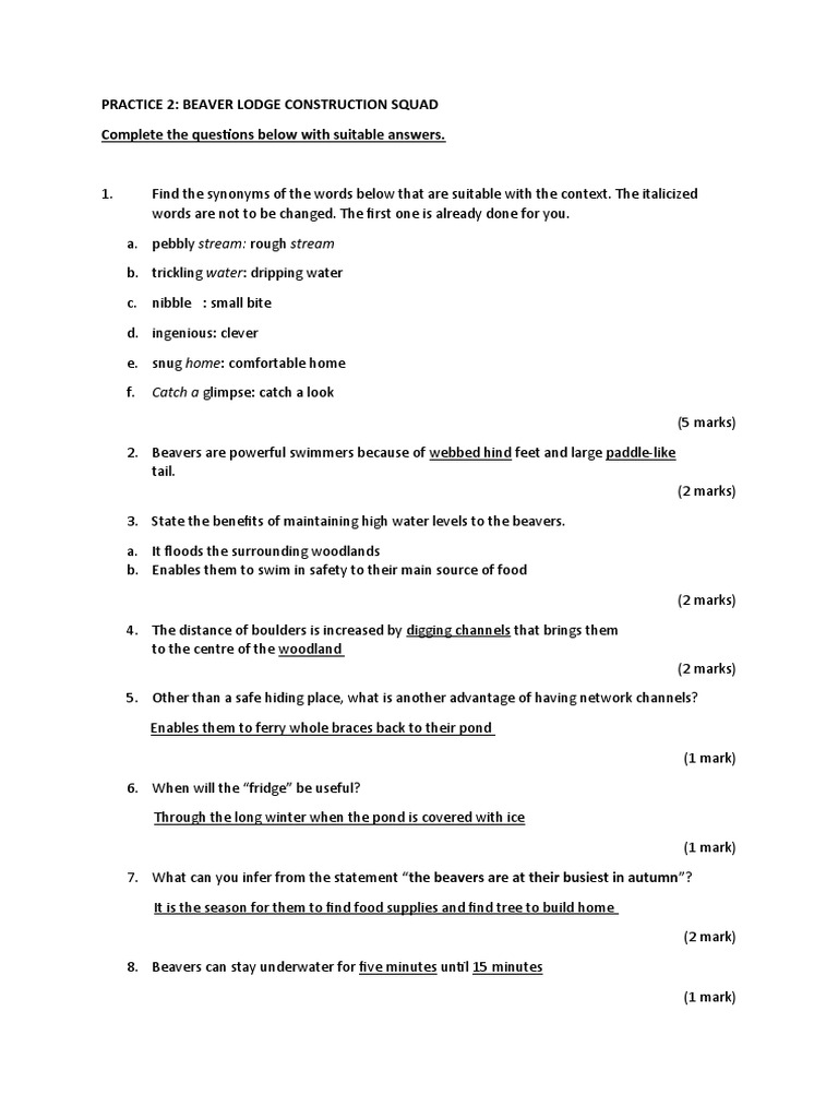 Practice 2 - Beaver Lodge Construction Squad | PDF | Science & Mathematics