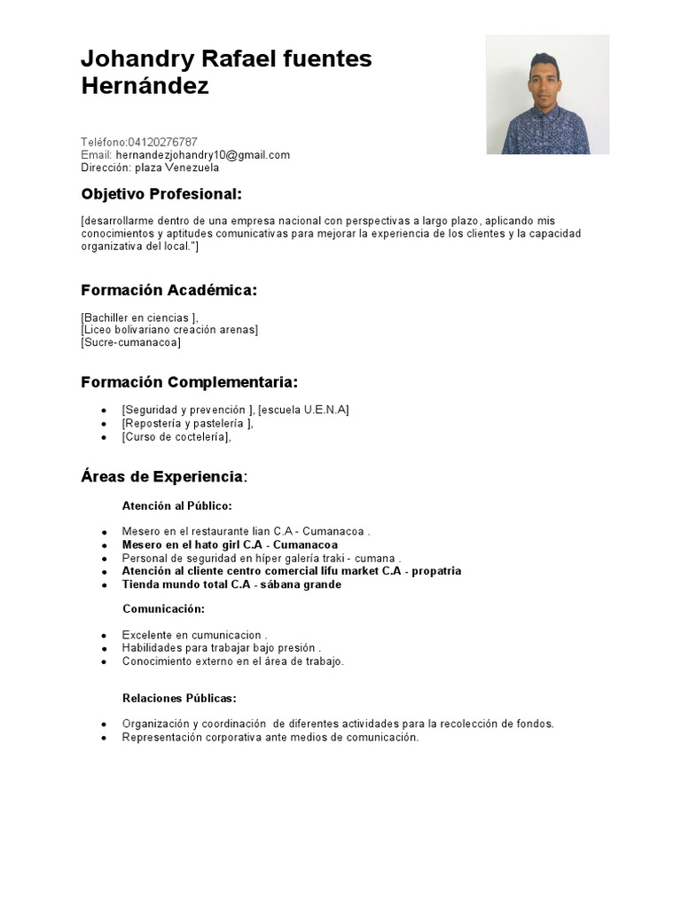 Curriculum Vitae Funcional | PDF