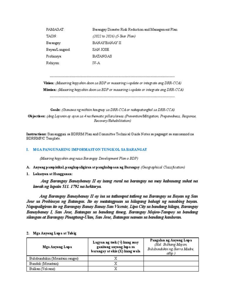 BDRRM Plan Template - Filipino Edited | PDF