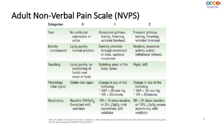 Adult Non-Verbal Pain Scale Overview | PDF