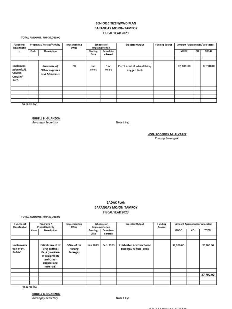 Barangay Senior Citizen/PWD Action Plan | PDF