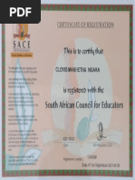 SAPS Affidavit Form Template South Africa | PDF