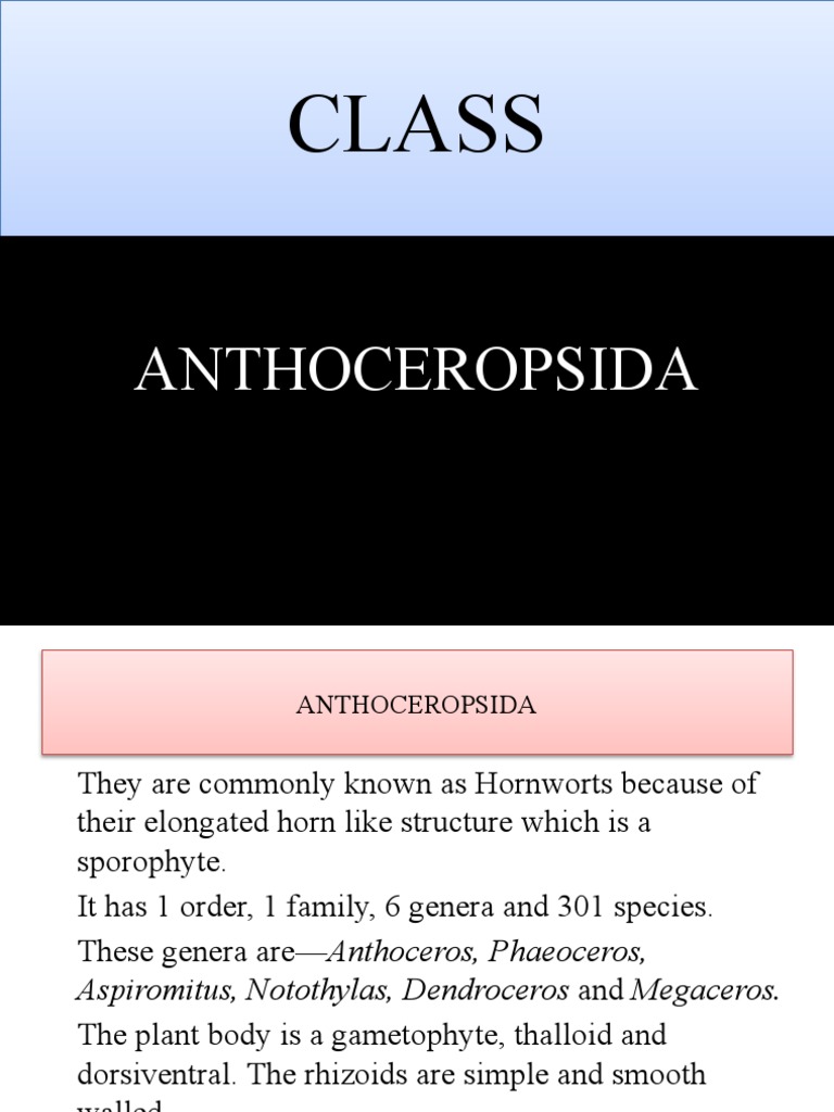 ANTHOCEROPSIDA | PDF