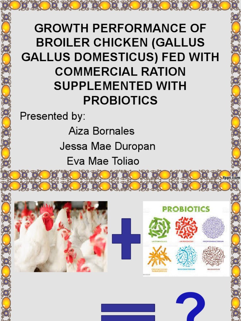 GROWTH PERFORMANCE OF BROILER CHICKEN (GALLUS GALLUS.pptx | PDF