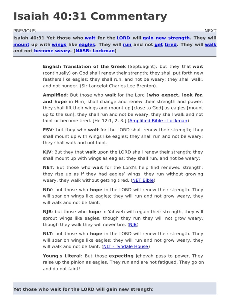 Isaiah 40 31 Commentary PDF | PDF