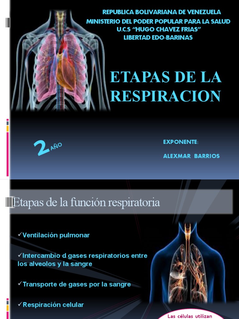 Etapas de La Respiracion | PDF