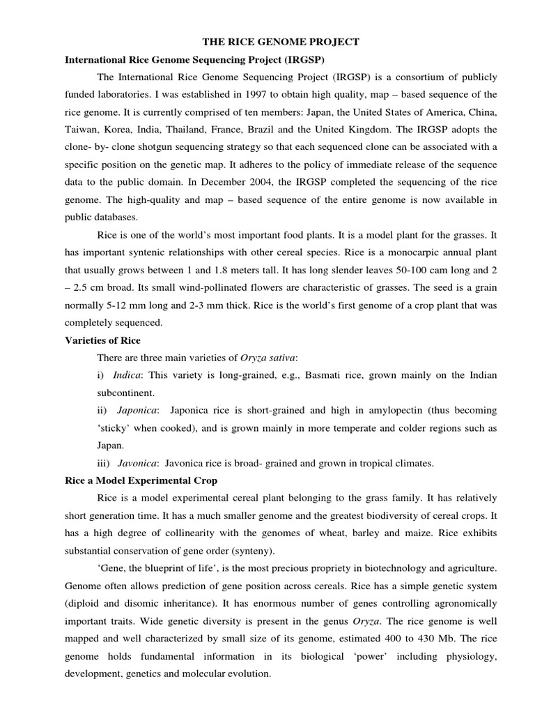THE RICE GENOME PROJECT.pdf | PDF | Genome | Plant Breeding