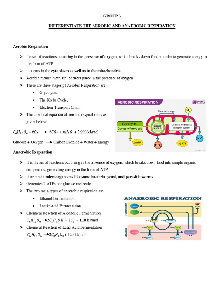 Aerobic Anaerobic Handouts PDF | PDF | Cellular Respiration | Fermentation