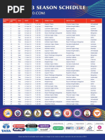 IPL 2024 Match Schedule and Venues | PDF