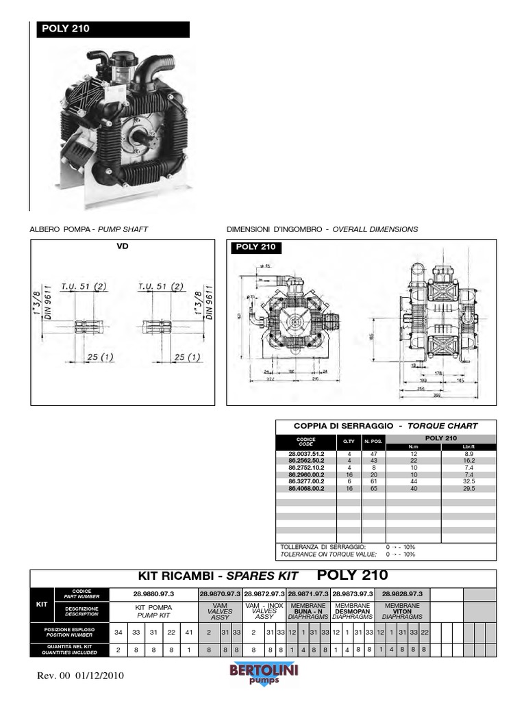 Poly 210 | PDF