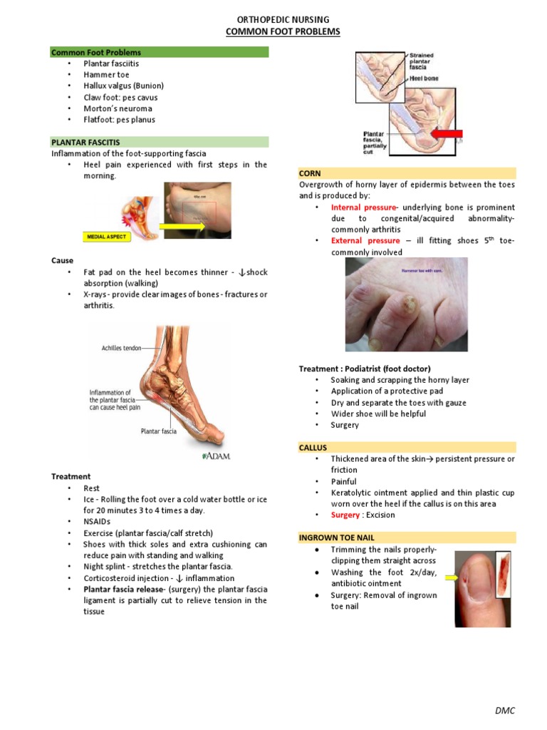 4.1 Common Foot Problems PDF | PDF