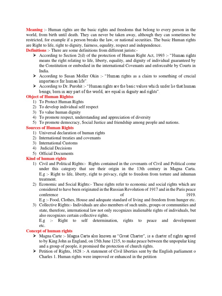 Human Rights Notes Dk | PDF