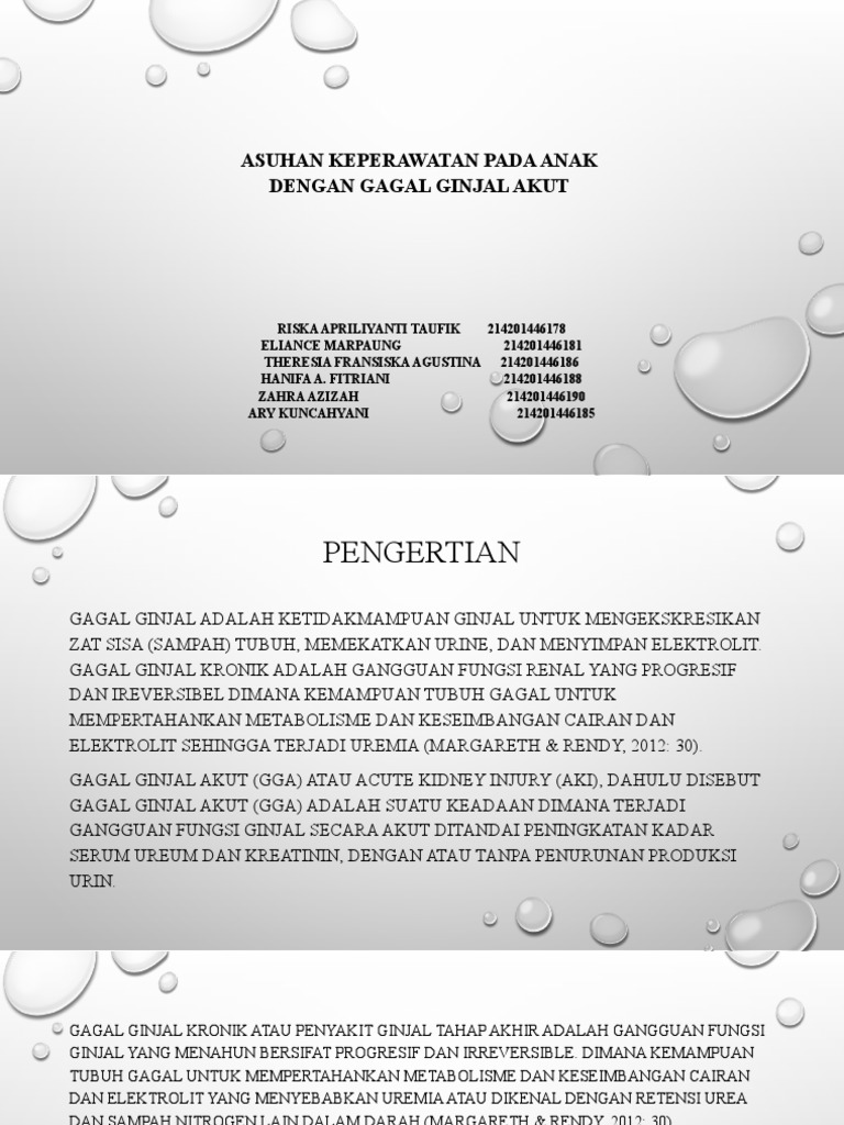 Ginjal | PDF | Pengembangan Diri