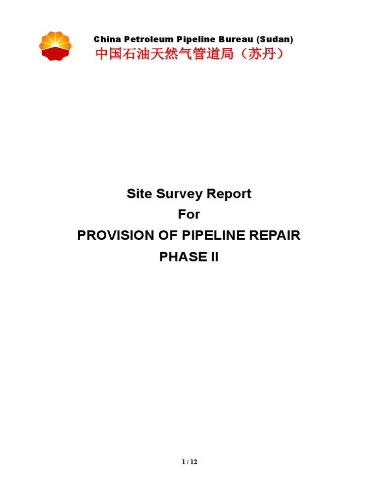Sudan Pipeline Repair Site Survey Report | PDF | Home & Garden ...