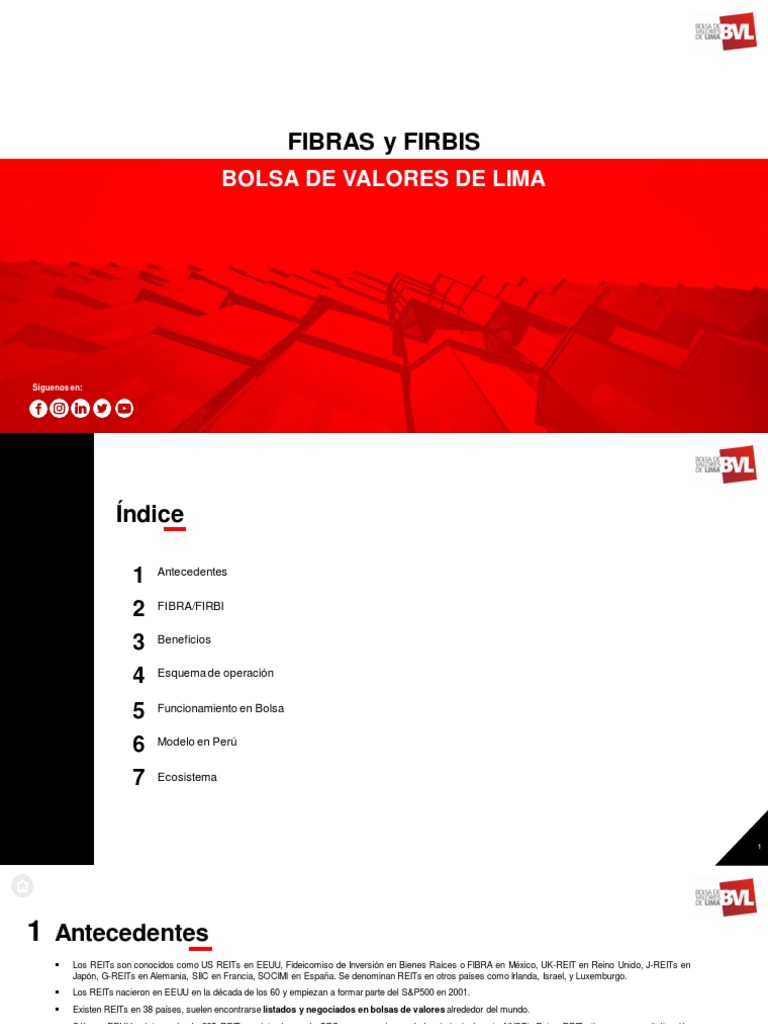 VF Fibras-Firbis PDF | PDF