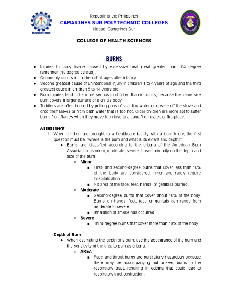 Burns PDF | PDF