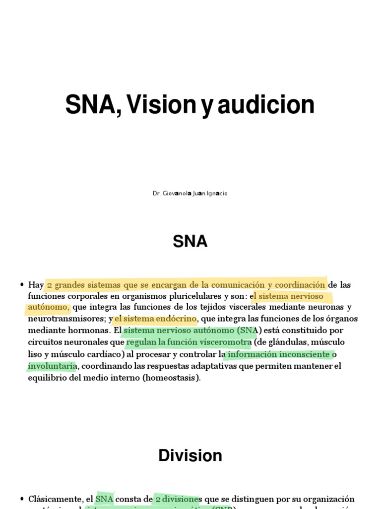 SNA, Vision y Audicion PDF | PDF