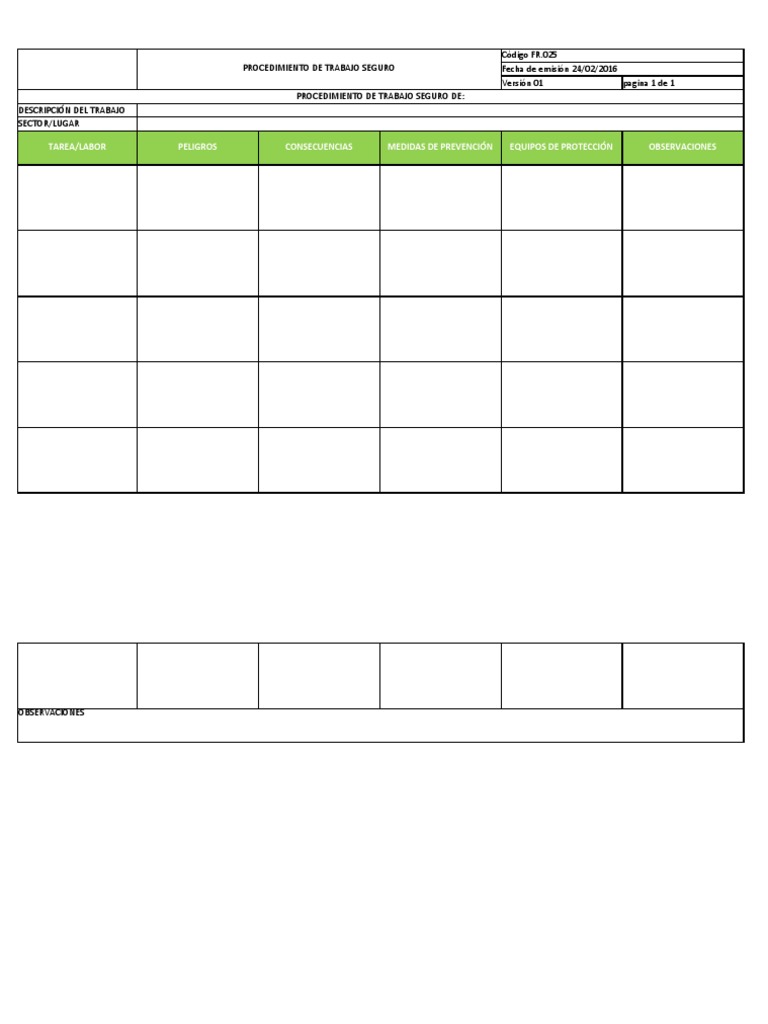 Formato PTS para Procedimiento Seguro | PDF | Tecnología