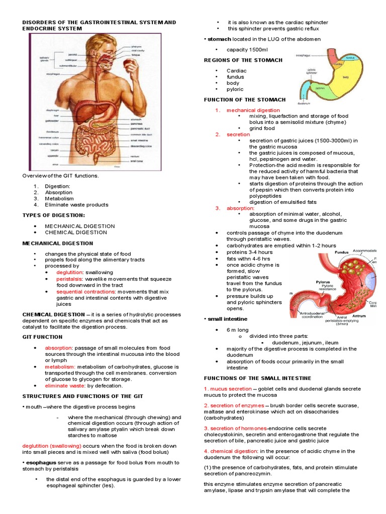 DISORDERS-OF-THE-GASTROINTESTINAL-SYSTEM-AND-ENDOCRINE-SYSTEM | PDF