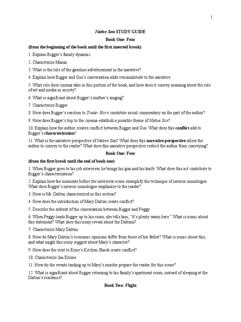 Native Son Study Guide | PDF