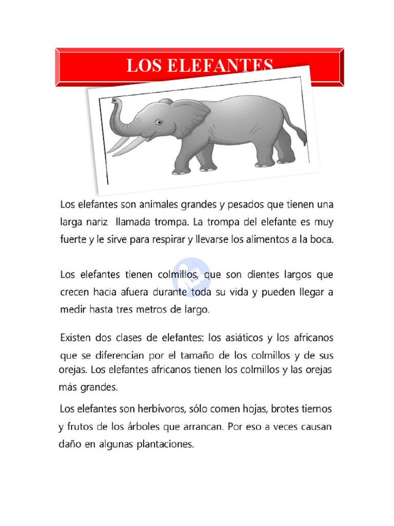 Los Elefantes Lectura 9 | PDF