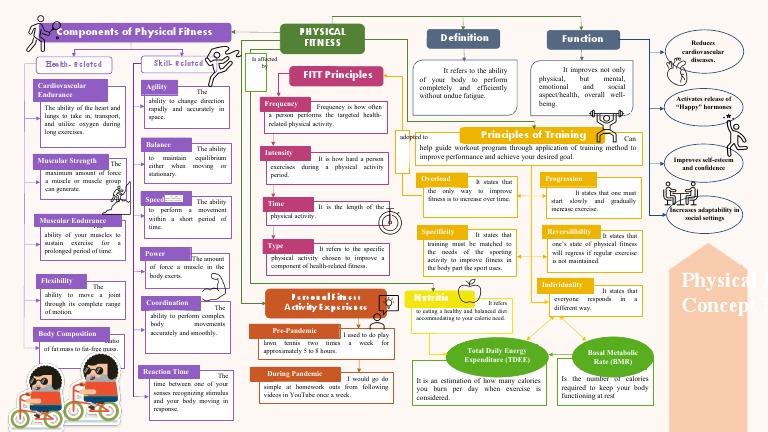 Components of Physical Fitness: A Comprehensive Breakdown of the Key ...