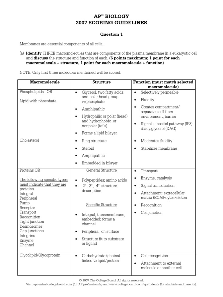 AP Biology 2007 Scoring Guidelines: Macromolecule + Structure, 1 Point ...
