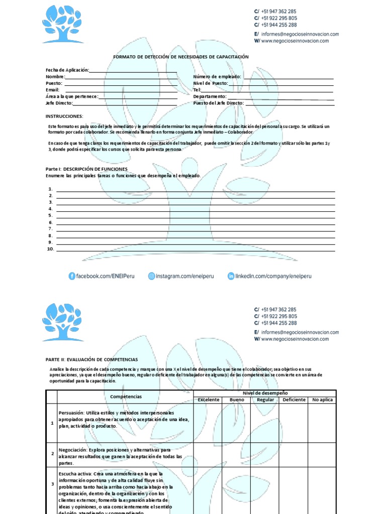 Formato de Detección de Necesidades de Capacitacion DNC Competencias | PDF