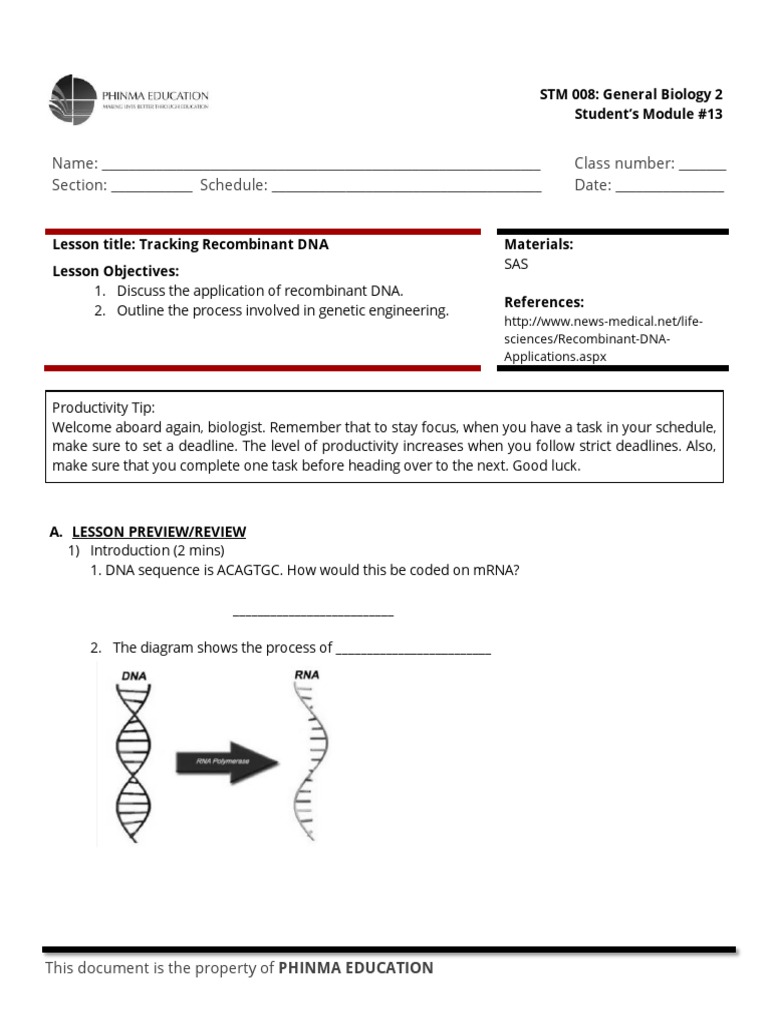 Recombinant DNA for Students | PDF | Molecular Cloning | Plant Breeding