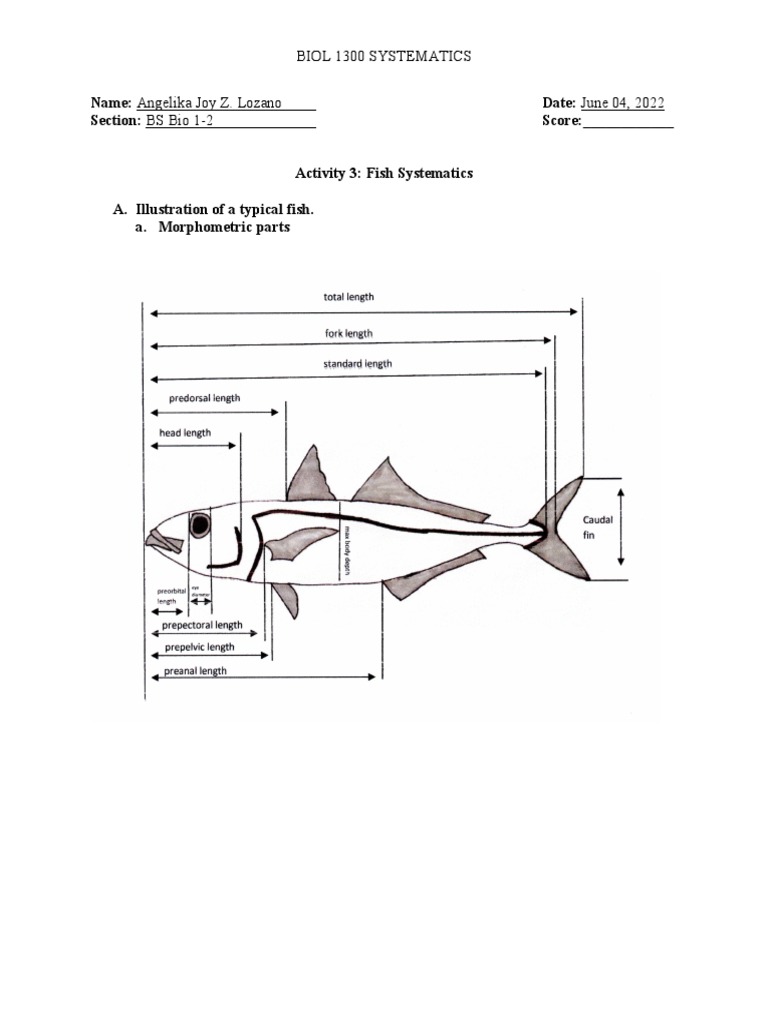 Fish Morphometrics and Classification | PDF | Fish | Aquatic Animals
