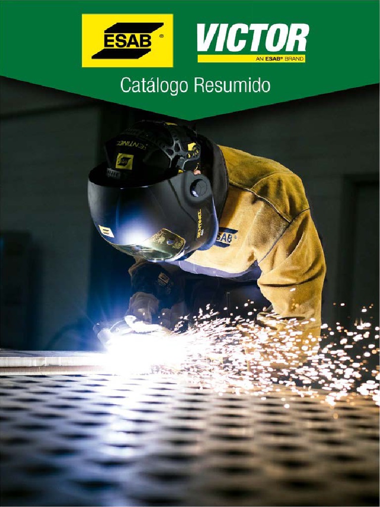 CATALOGO RESUMIDO VICTOR.pdf | PDF
